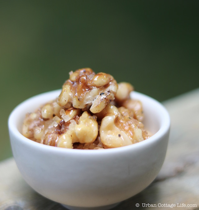 Honeyed Walnuts Garnish or Snack? - Urban Cottage Life